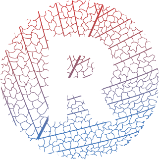 Carriers | Redwood Logistics