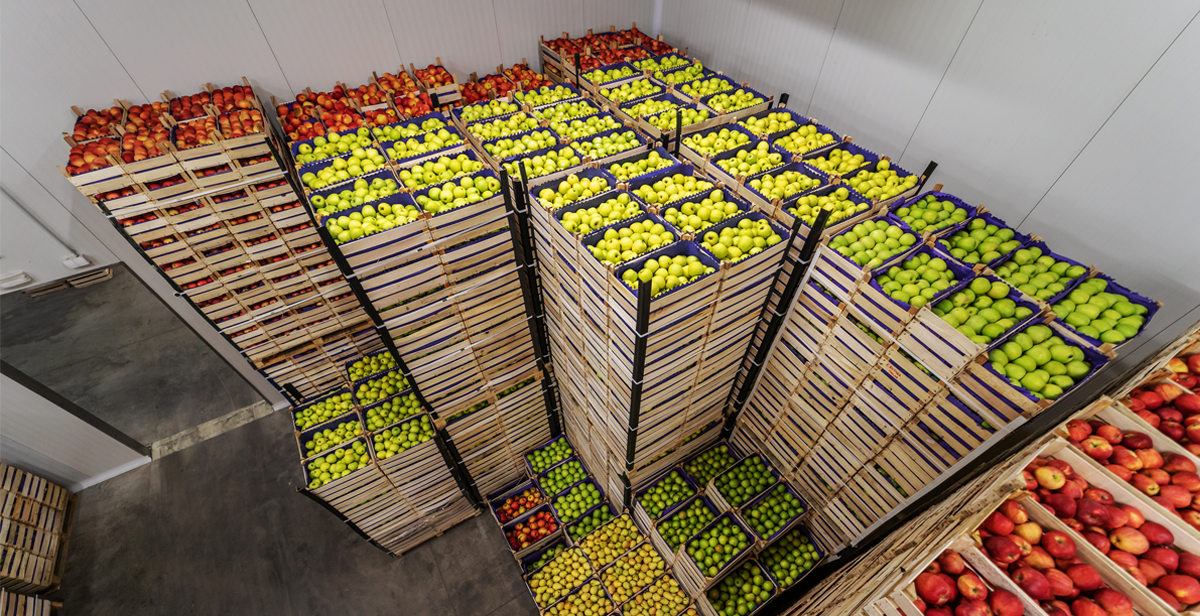 Five Logistics Capabilities Food & Beverage Companies Need to Master