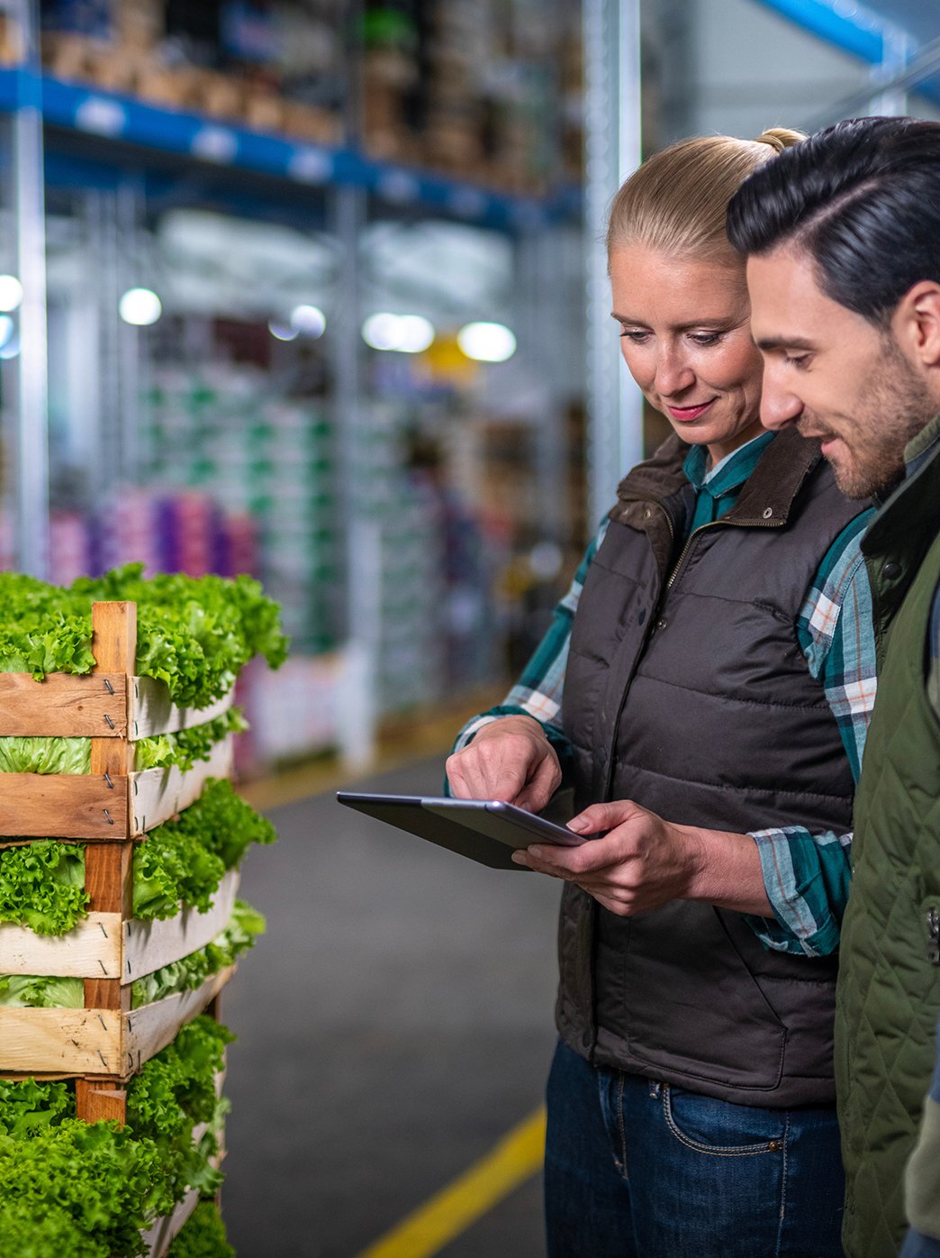 Fresh Solutions for Your Grocery Supply Chain