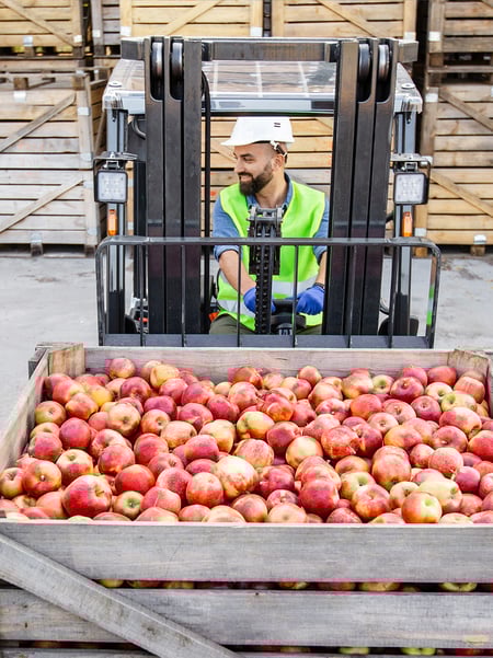 Fresh Solutions for Your Grocery Supply Chain