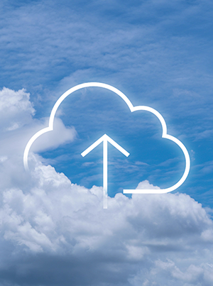 Oracle Global Trade Management (GTM) | Redwood Logistics