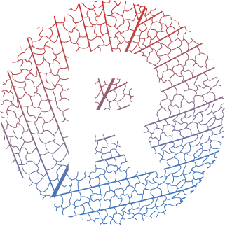 Shipment Execution | Redwood Logistics