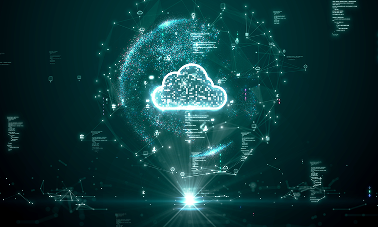 Oracle Global Trade Management (GTM) | Redwood Logistics